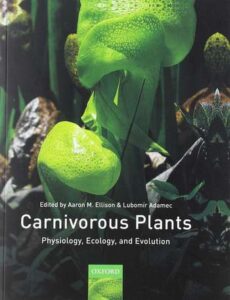 11 Types of Carnivorous Plants - VENUS FLYTRAPS