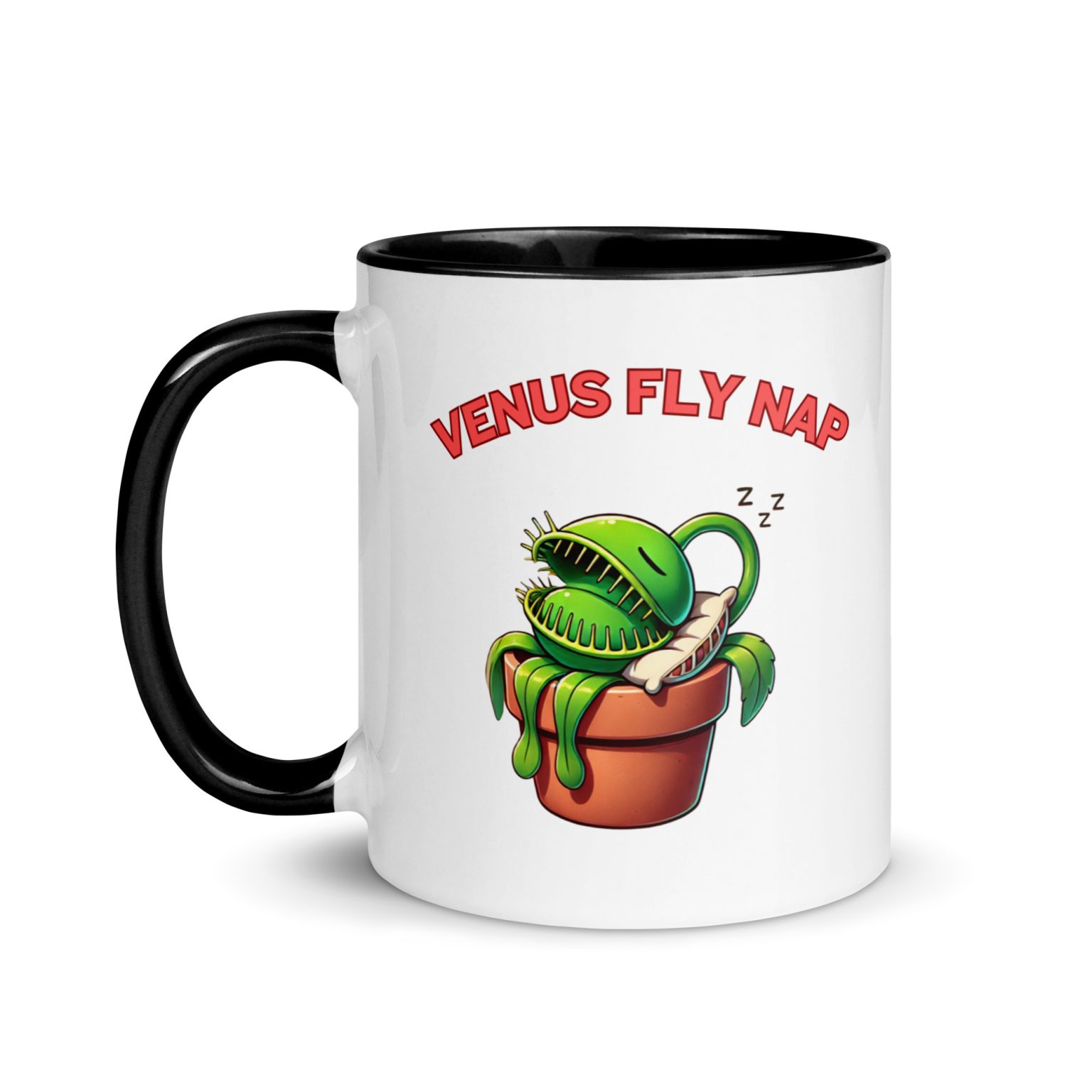 10 Fun Facts About Venus Flytraps - VENUS FLYTRAPS